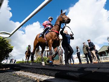 2025 Racing Fixtures Announced! | Hereford Racecourse