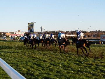 Hereford Racecourse