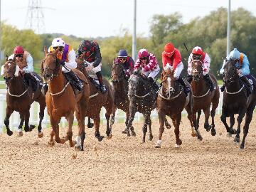 Hereford Racecourse